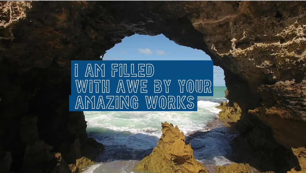 See You At The Pole™